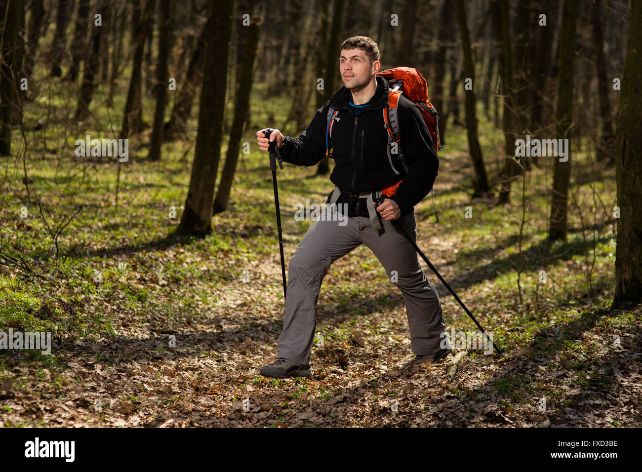 Male hiker looking to the side walking in forest Stock Photo - Alamy