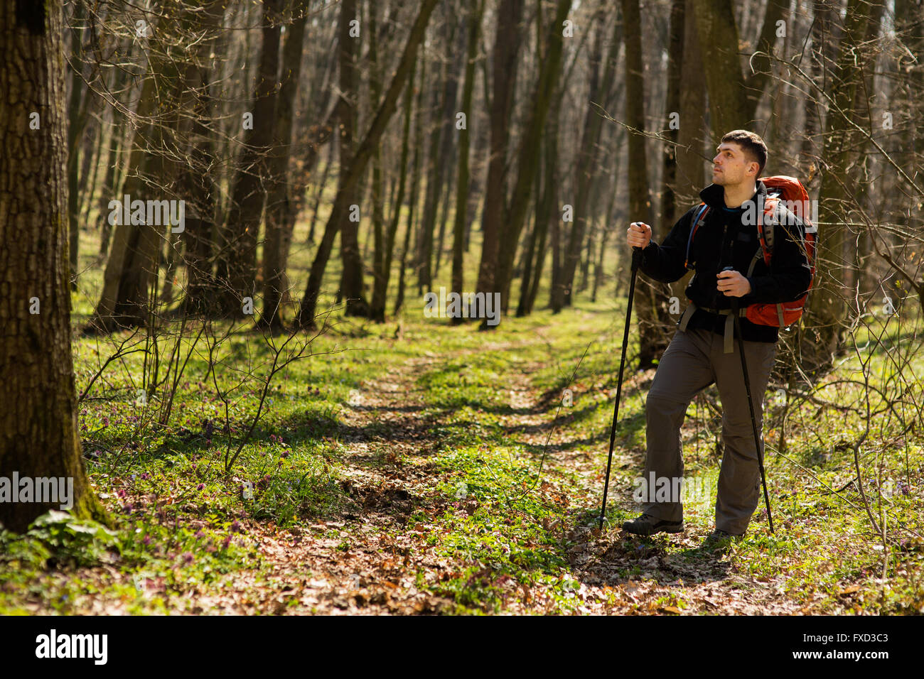 Male hiker looking to the side walking in forest Stock Photo - Alamy