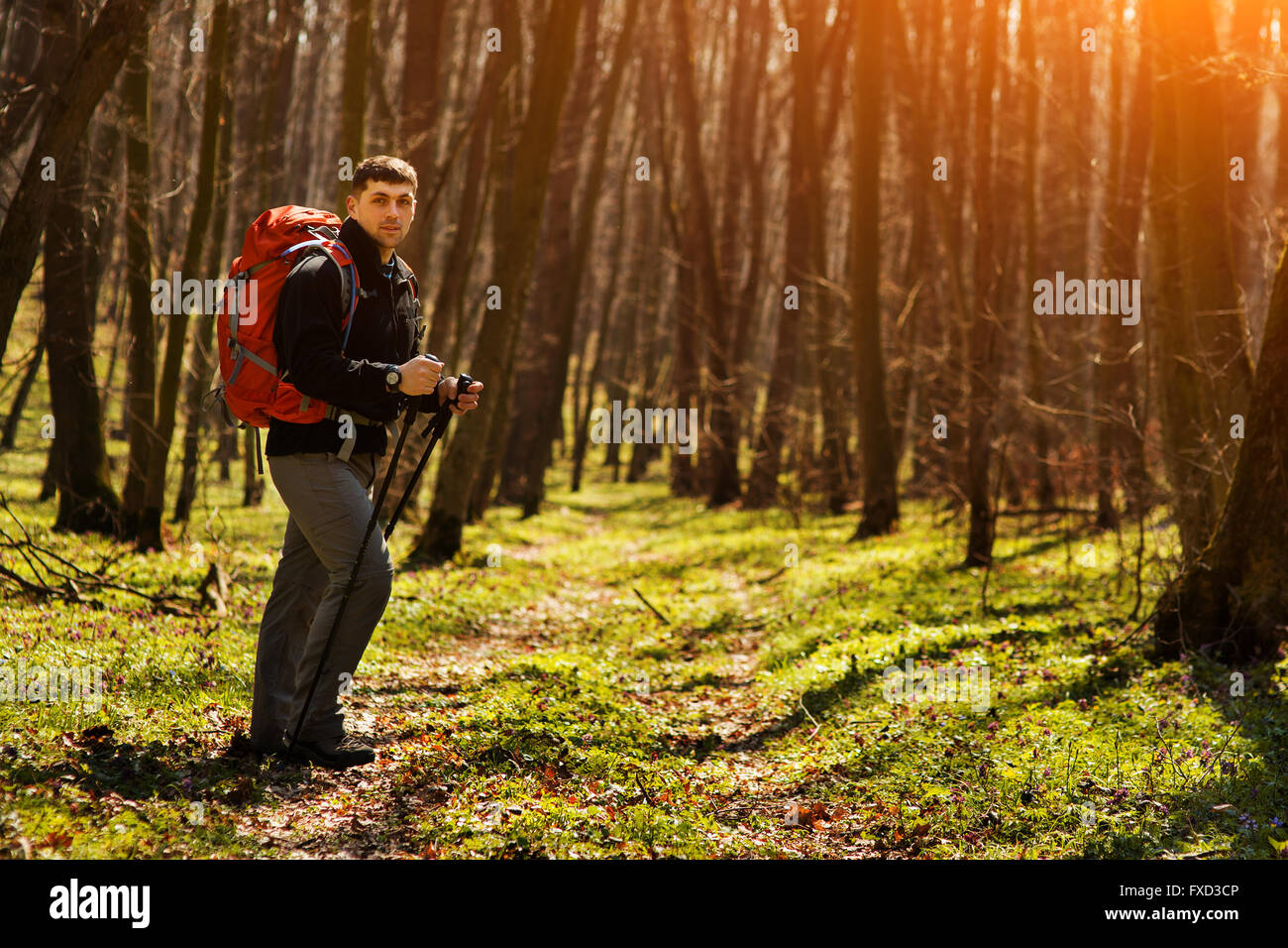 Male hiker looking to the side walking in forest Stock Photo - Alamy