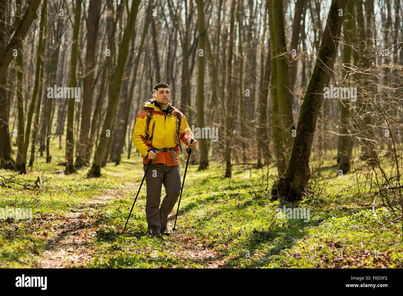 Male hiker looking to the side walking in forest Stock Photo - Alamy