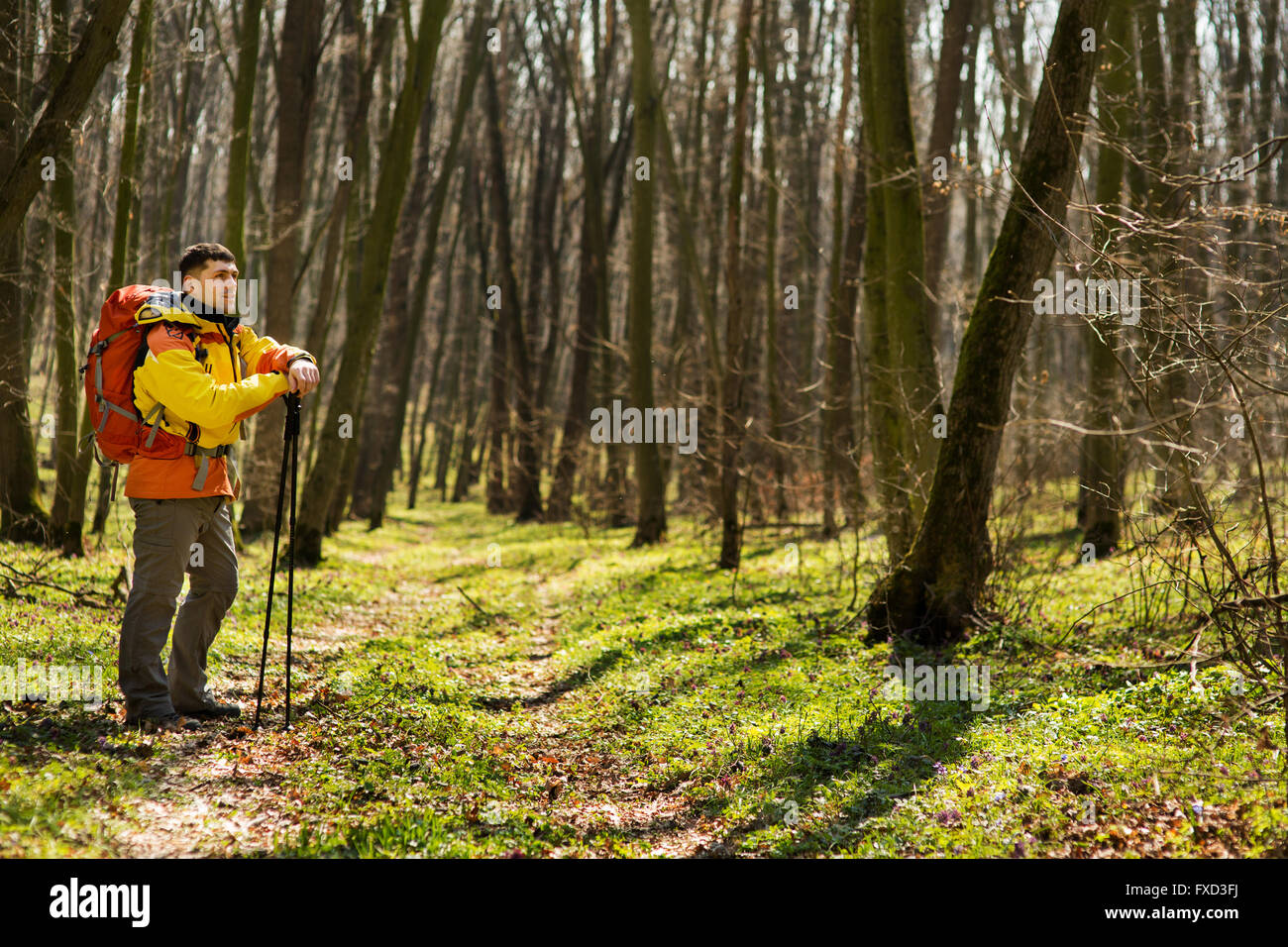 Male hiker looking to the side walking in forest Stock Photo - Alamy