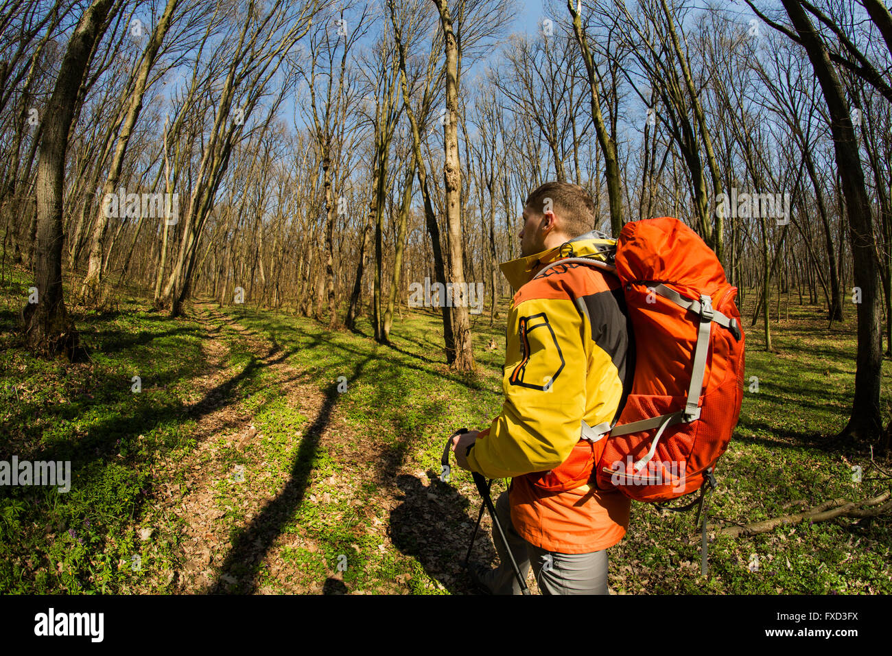 Male hiker looking to the side walking in forest Stock Photo - Alamy