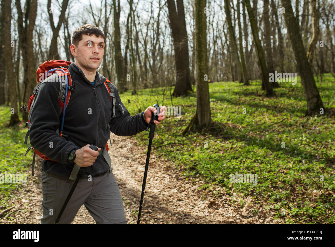 Male hiker looking to the side walking in forest Stock Photo - Alamy