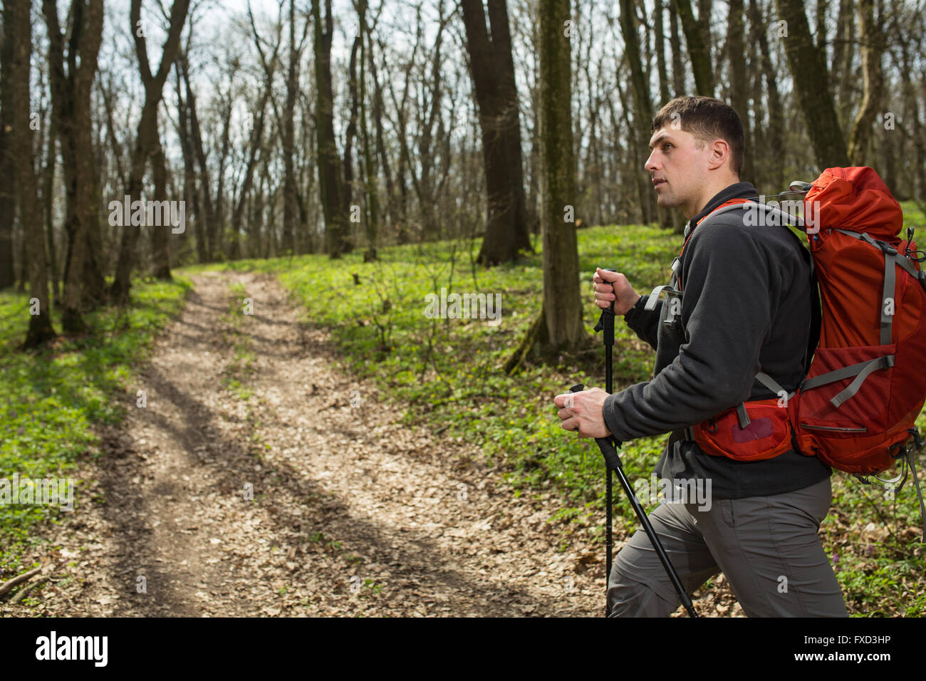 Male hiker looking to the side walking in forest Stock Photo - Alamy