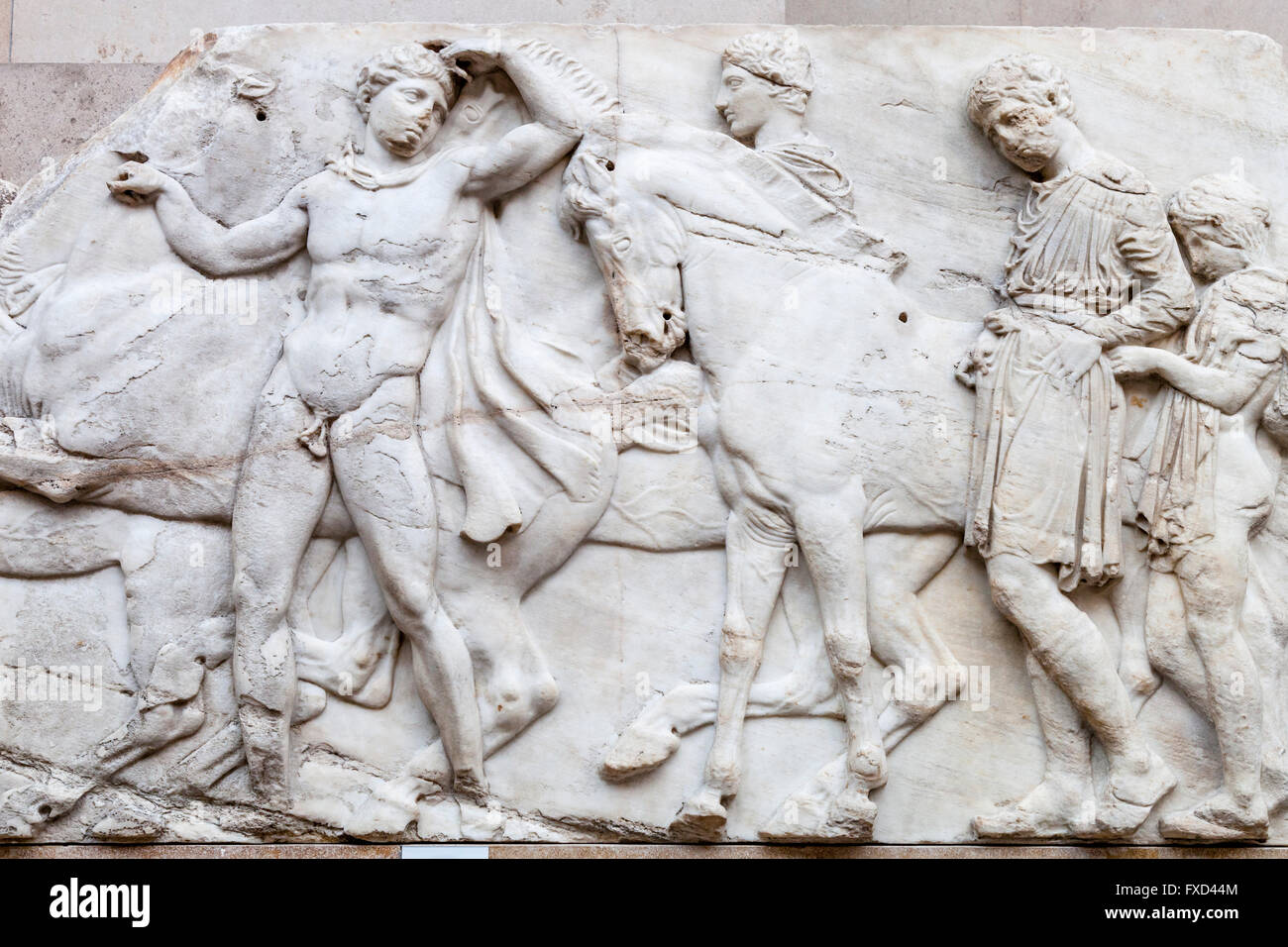 The Elgin Marbles, British Museum, London, England Stock Photo - Alamy