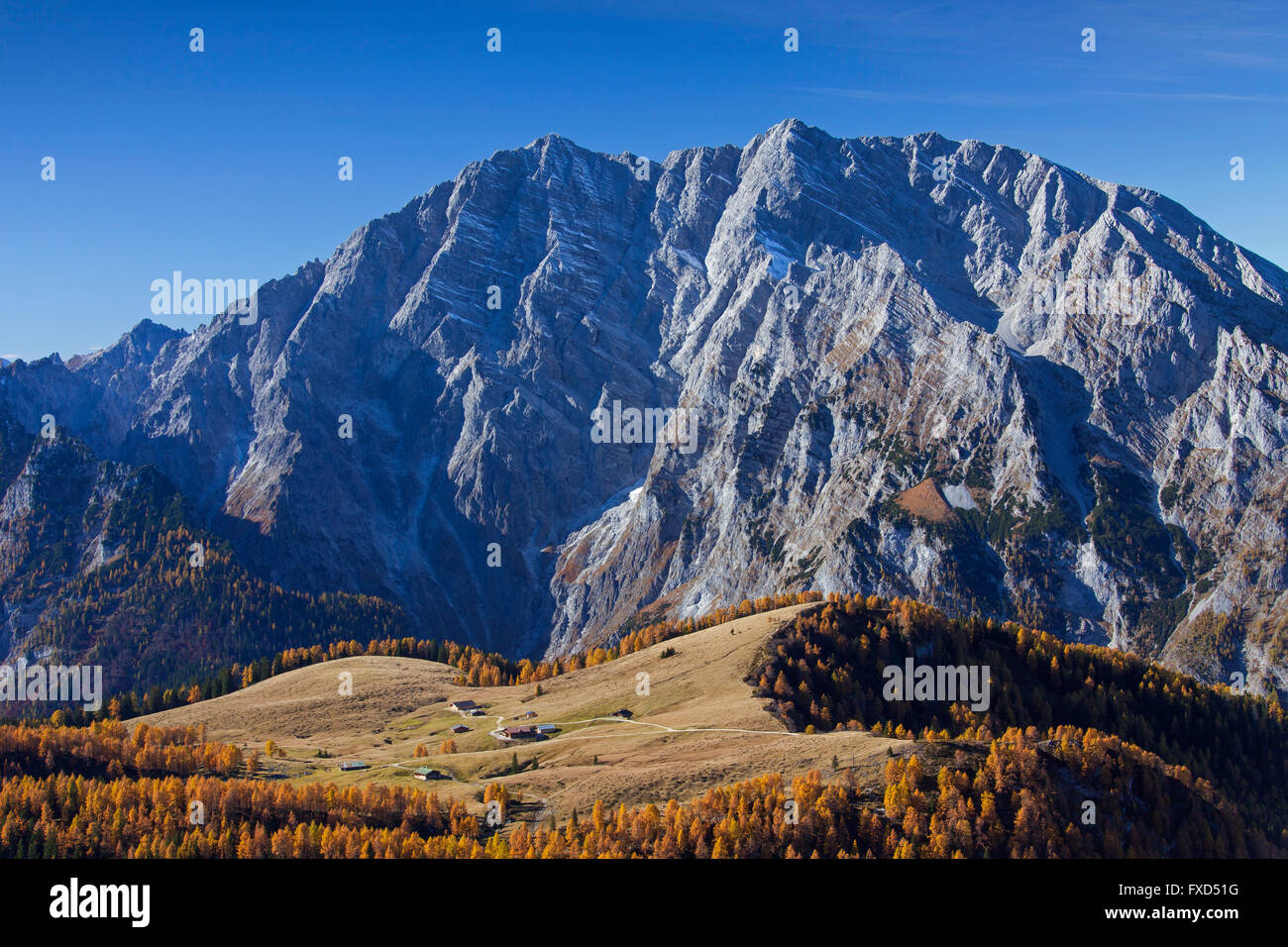 Gotzenalm and Mount Watzmann in the Berchtesgadener Alpen in autumn ...