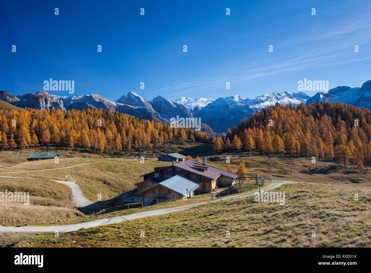 Gotzenalm in the Berchtesgadener Alpen in autumn, Berchtesgaden ...
