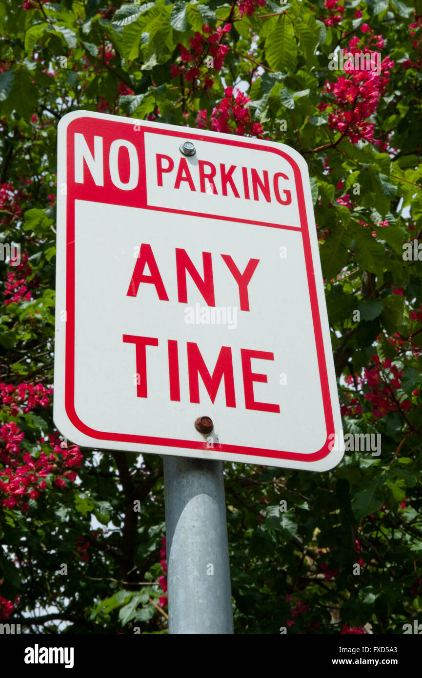 No parking any time sign Stock Photo - Alamy