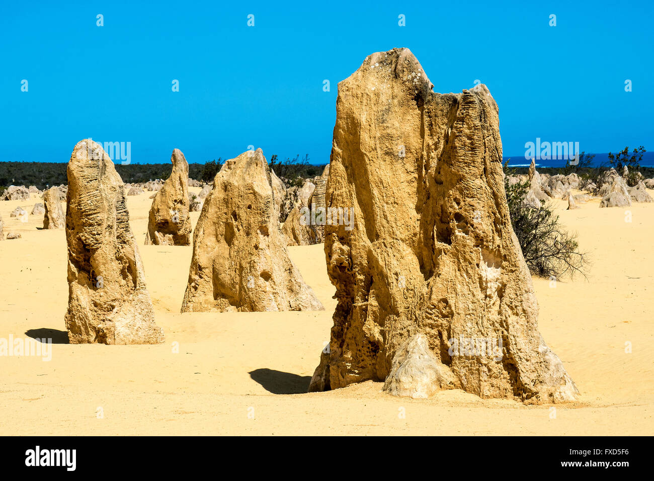 The Pinnacles limestone formations within Nambung National Park ...