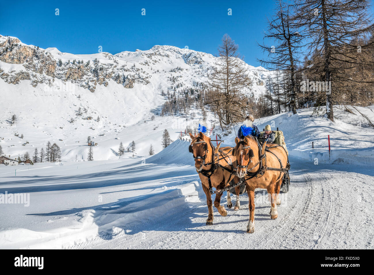 Switzerland, Sils Maria, Sleigh at Val Fex against a panorama of the ...