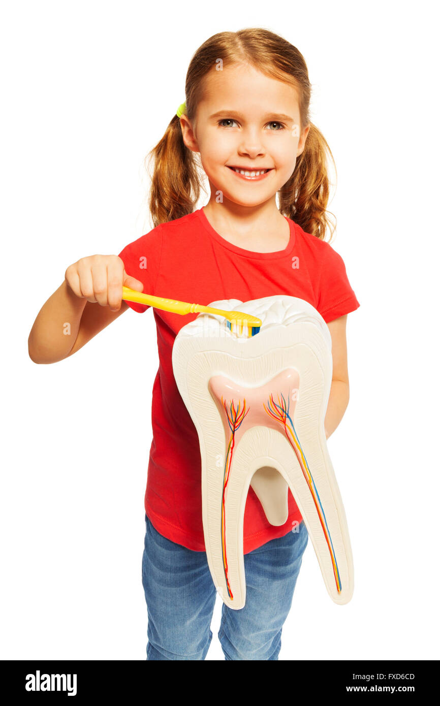 Smiling girl brushing tooth model with toothbrush Stock Photo - Alamy