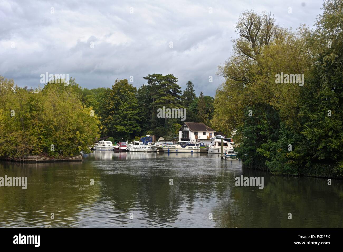 River Thames near Marlow Stock Photo - Alamy