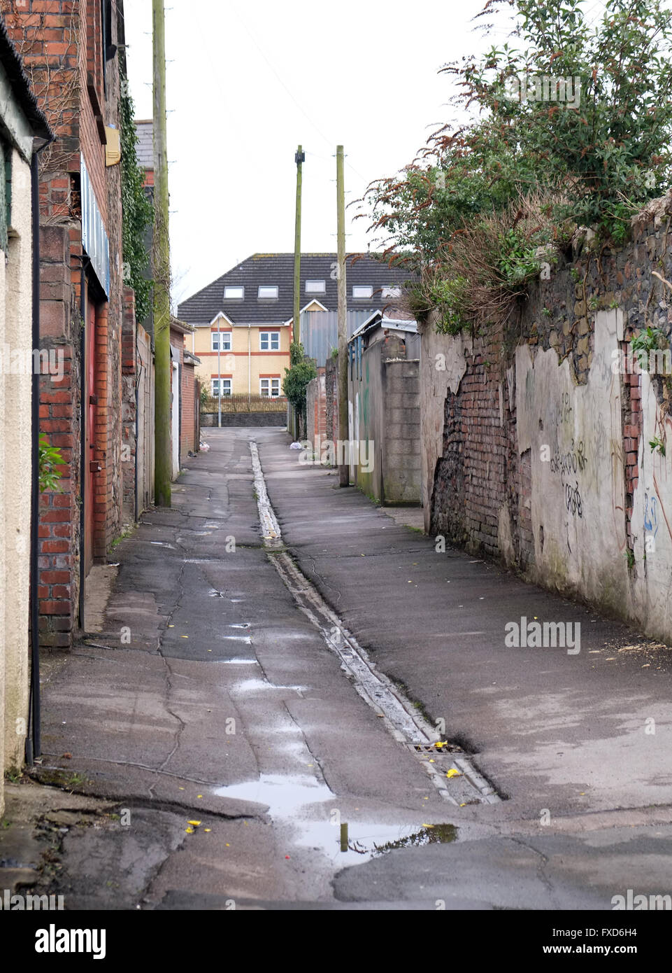 Road behind houses in hi-res stock photography and images - Alamy