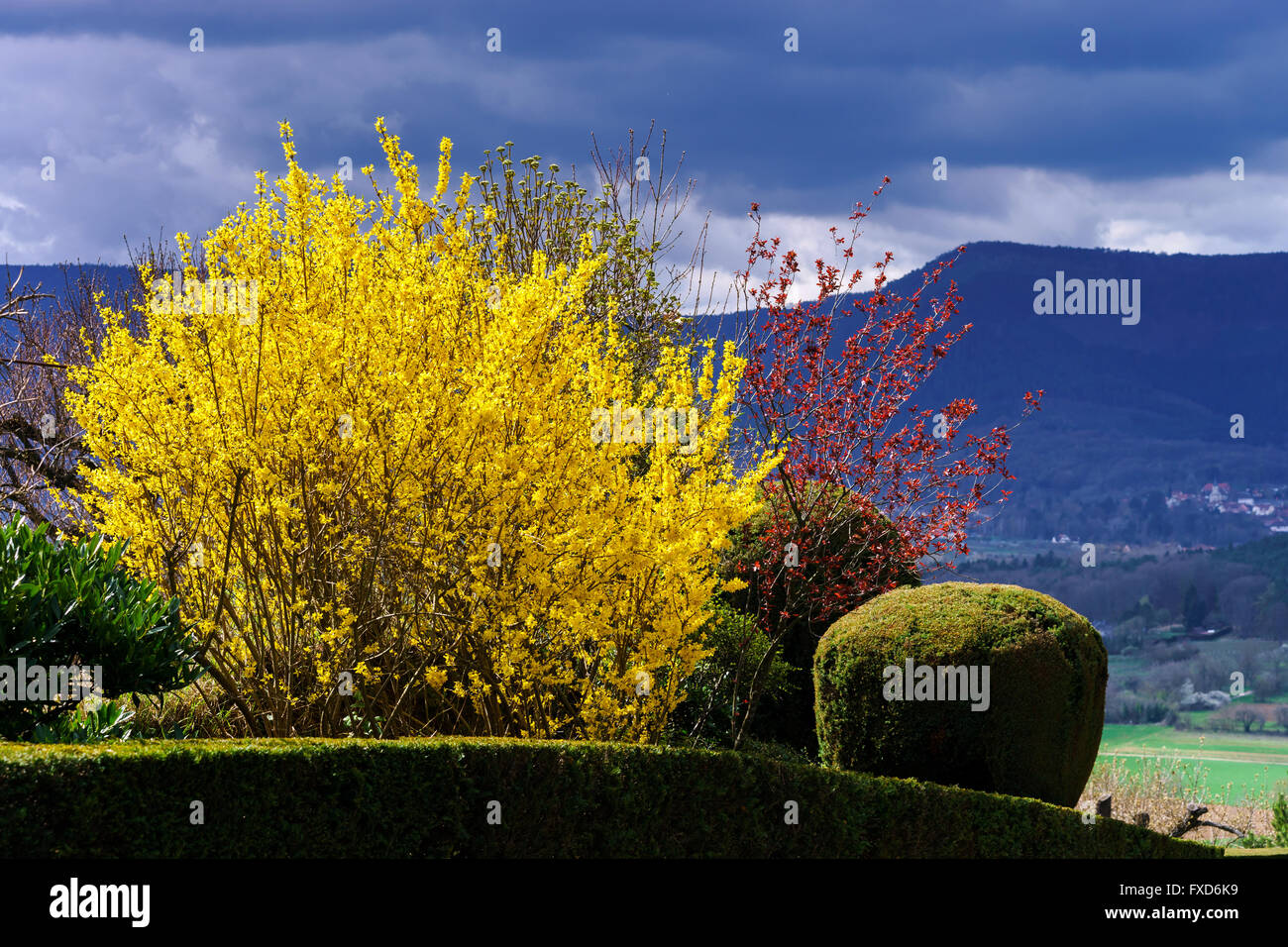 Outdoor dunny hi-res stock photography and images - Alamy