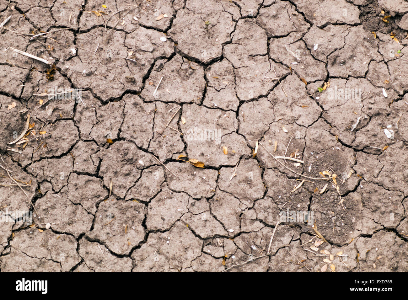 Drought parched soil hi-res stock photography and images - Alamy