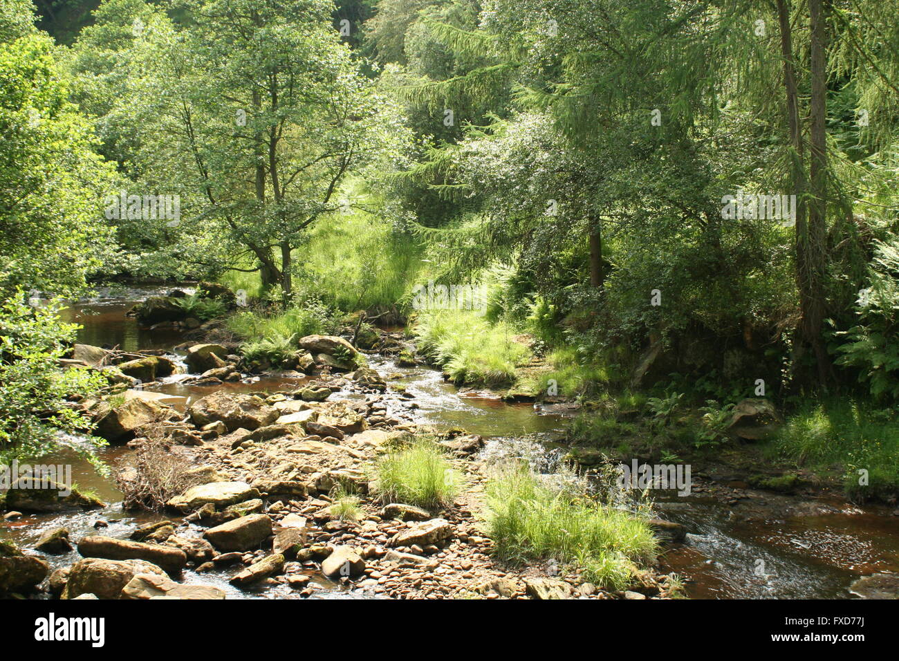 The stunning river esk hi-res stock photography and images - Alamy
