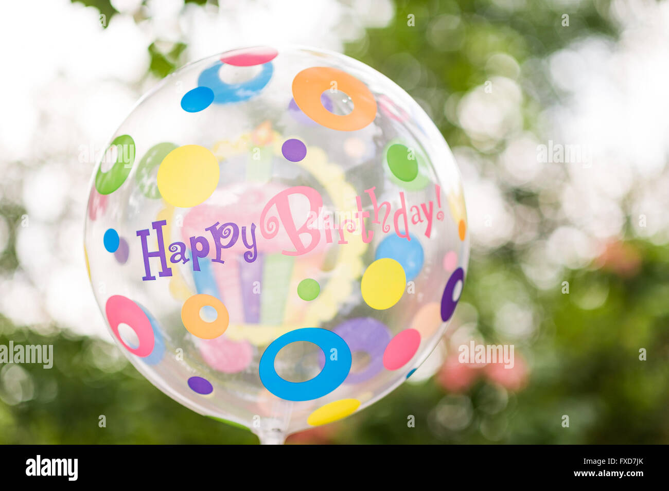 Colourful balloon used as decoration for birthday party celebrations ...