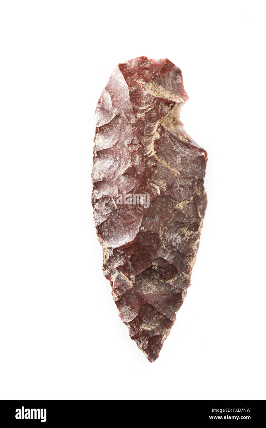 private collection of native american arrow heads with identifiable ...