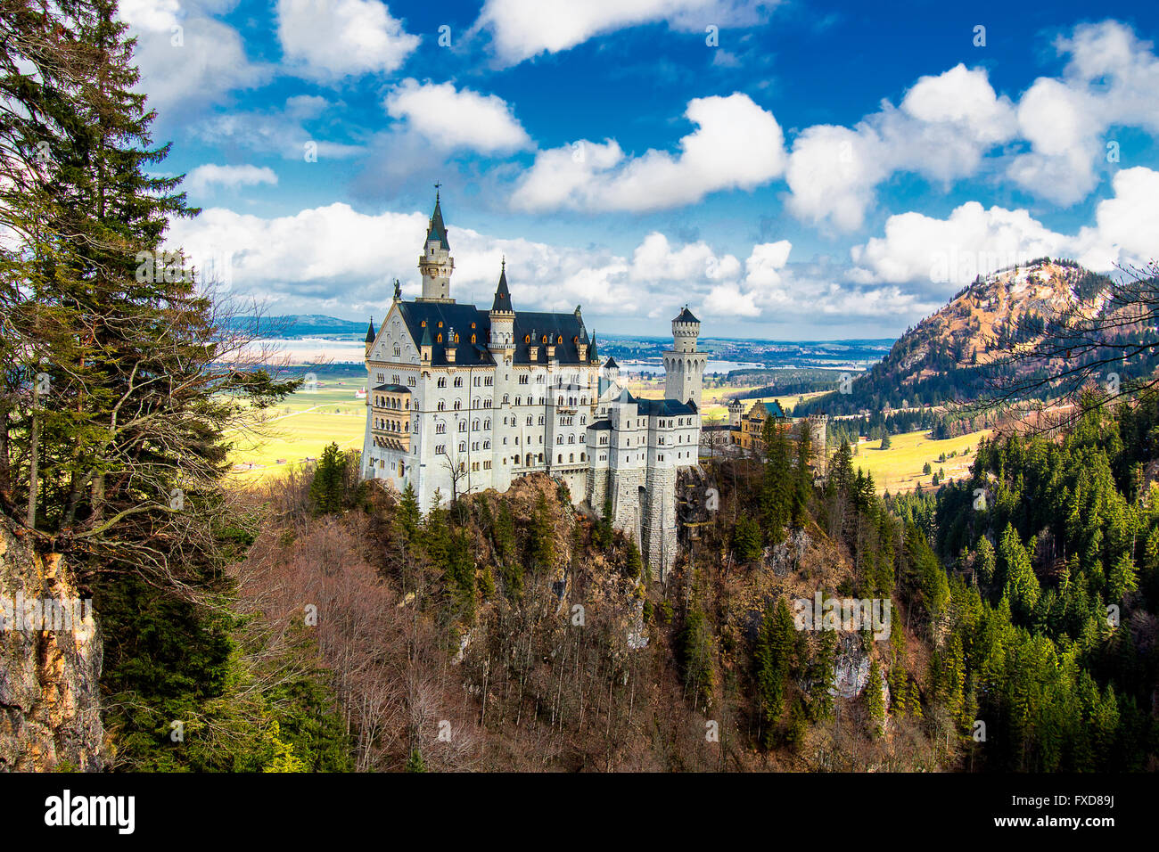 Neuschwanstein Castle in winter landscape, Fussen, Germany Stock Photo ...
