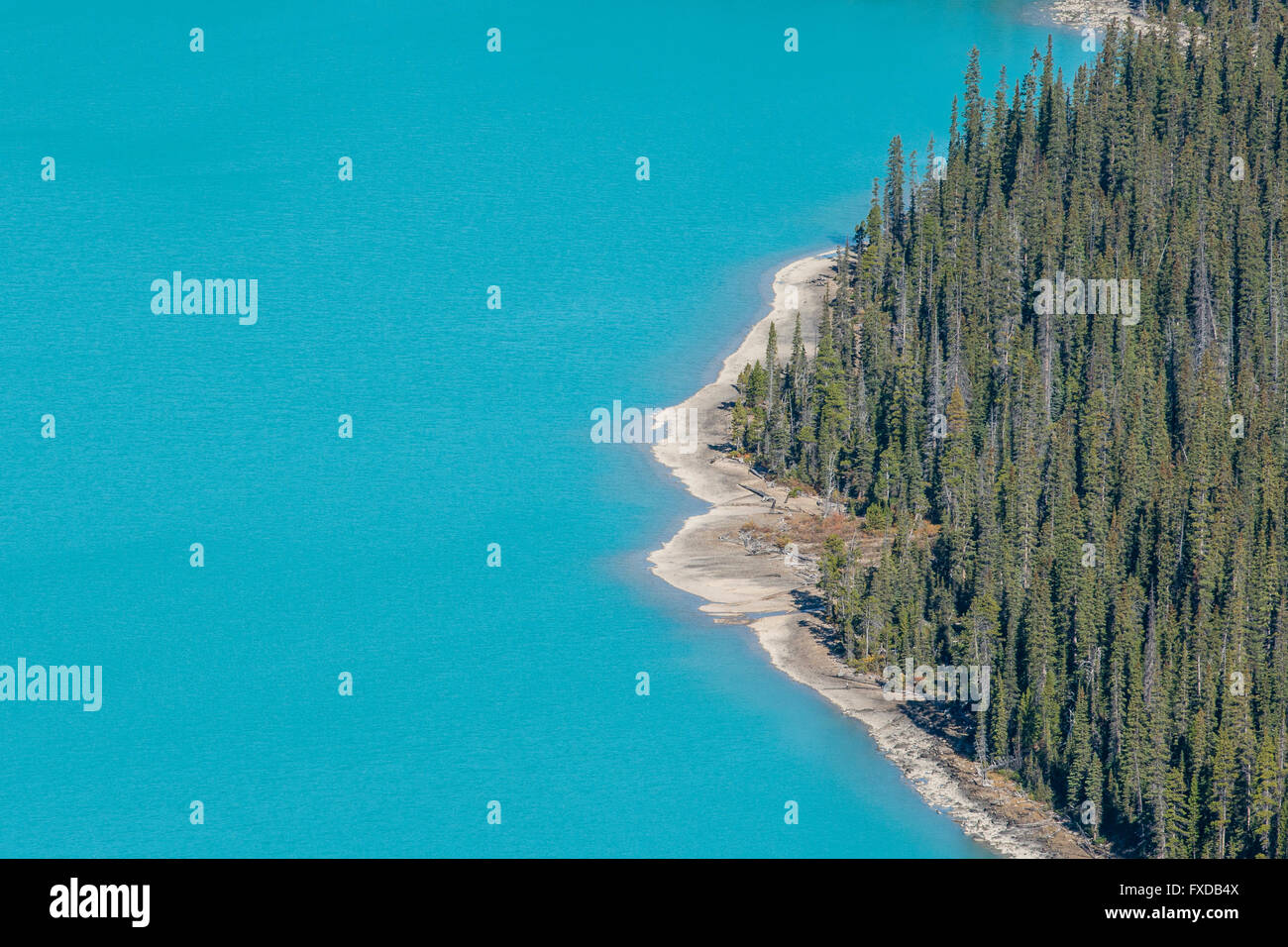 Turquoise glacier Peyto Lake, Banff National Park, Canadian Rockies ...