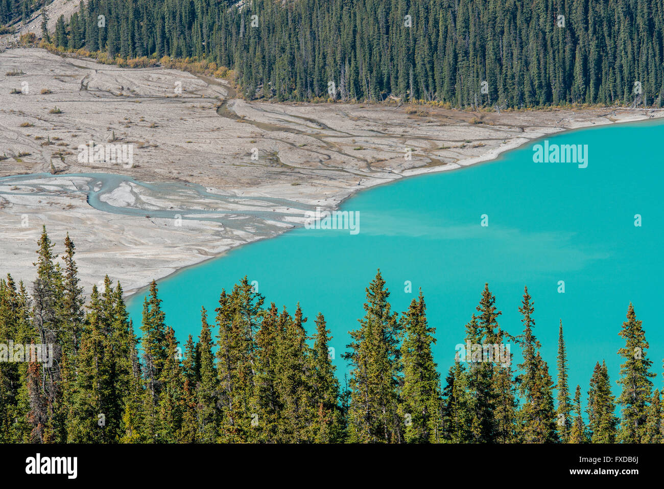 Turquoise glacier Peyto Lake, Banff National Park, Canadian Rockies ...
