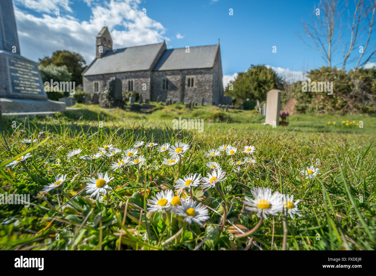Pushing Up The Daisies High Resolution Stock Photography and Images - Alamy