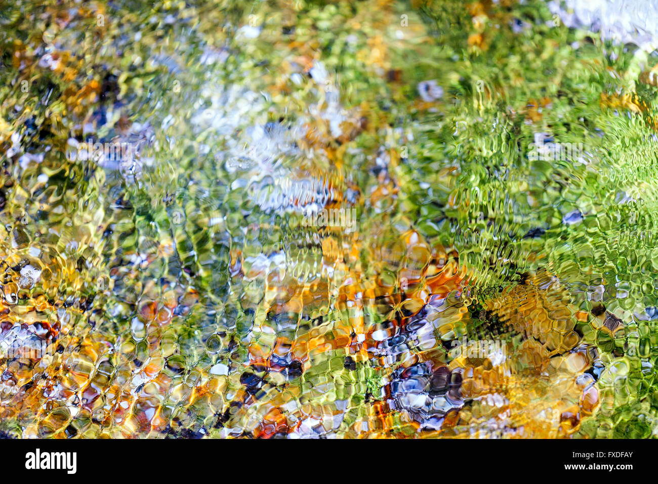 Bright colored stones from bottom of sea Stock Photo - Alamy
