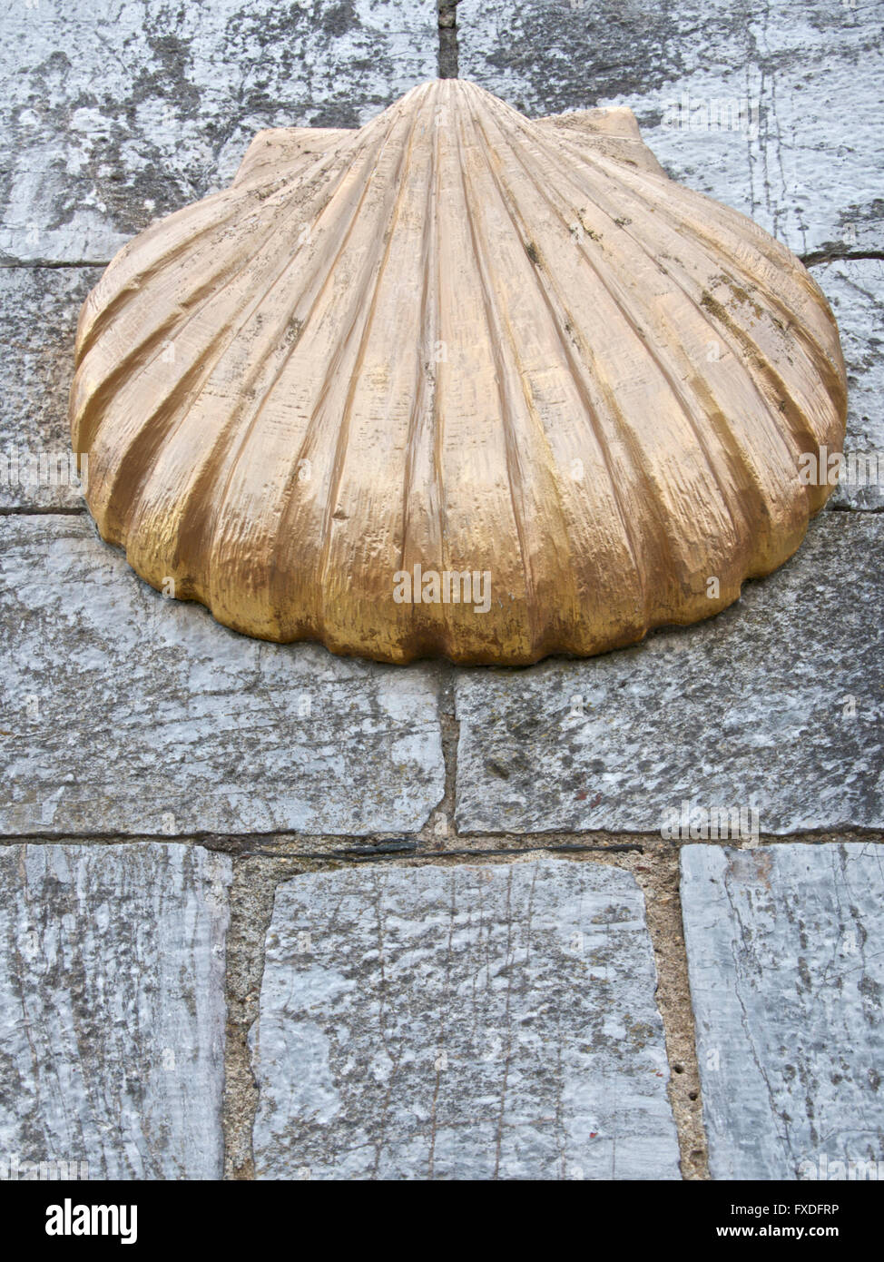 Carved marble scallop shell on wall at Lambhay Hill, Plymouth Stock ...
