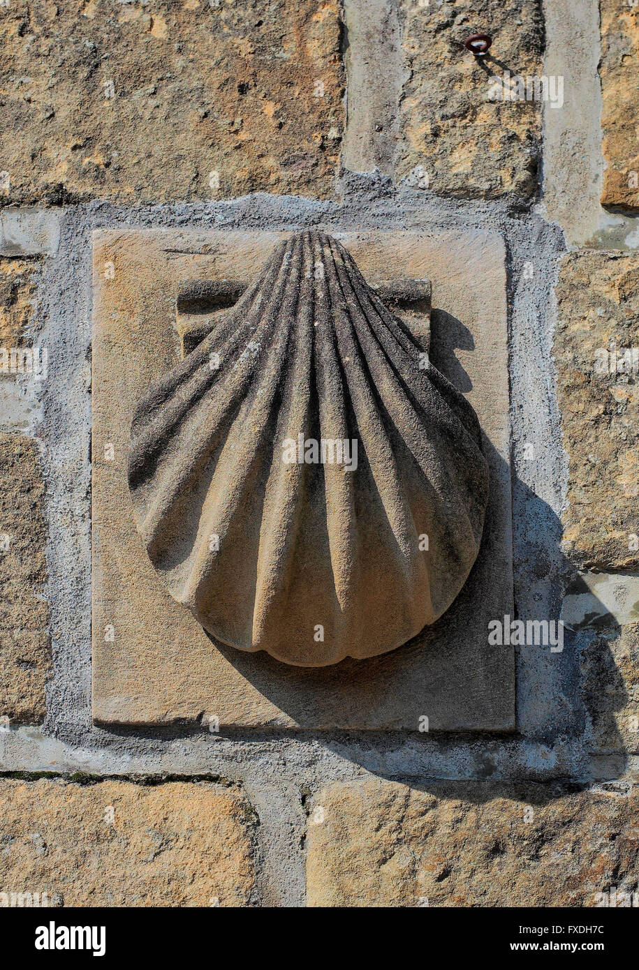 An stone shell at wall Stock Photo - Alamy