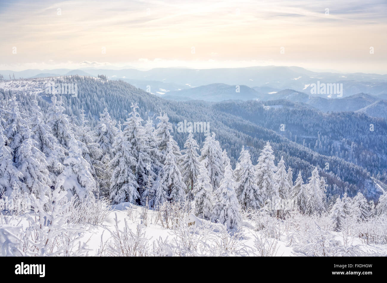 Schwarzwald, Winter, landscape, snow, wintry, ski Stock Photo - Alamy