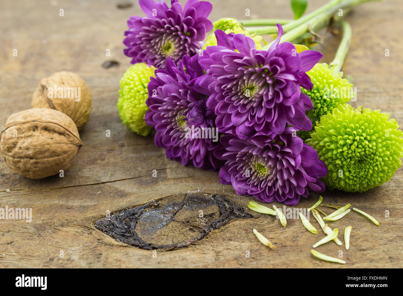 Photo of two walnuts, green and purple chrysanthemums on wood table ...