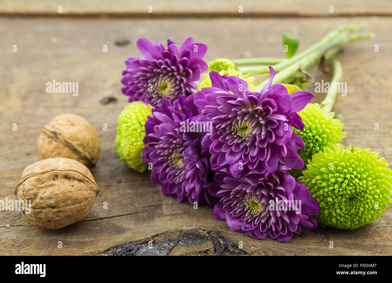Photo of two walnuts, green and purple chrysanthemums on wood ...