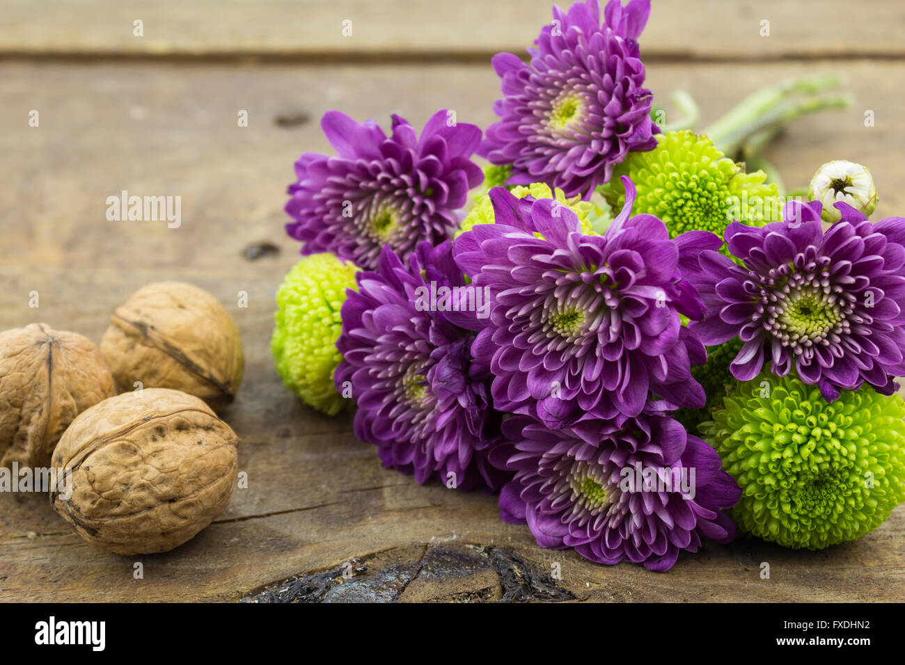 Photo of walnuts, green and purple chrysanthemums on wood background ...