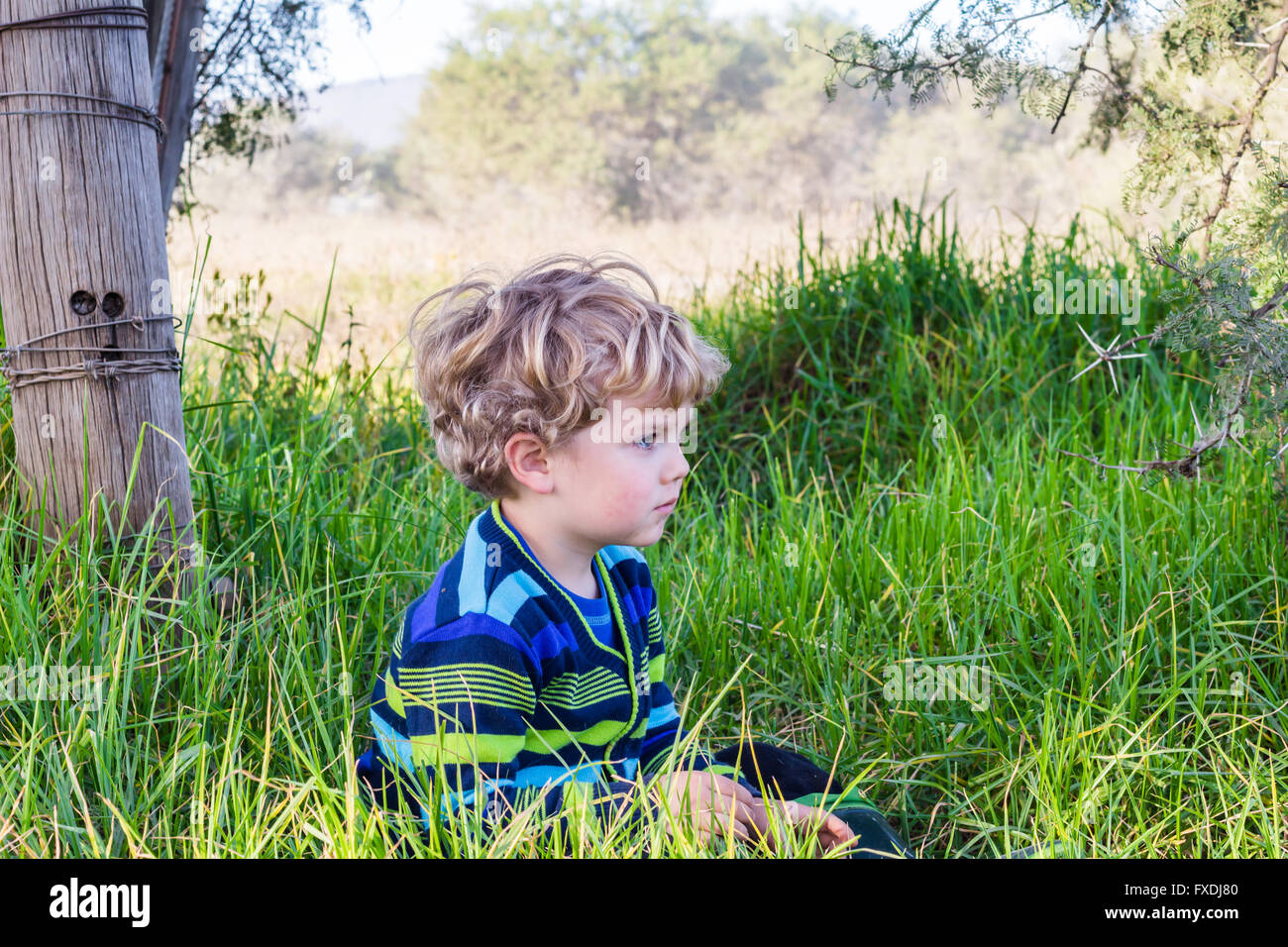 Three year old blonde boy looking into the distance sitting in the long ...
