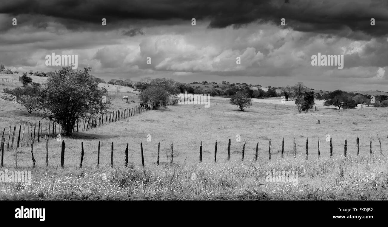 Northeastern Black and White Stock Photos & Images - Alamy