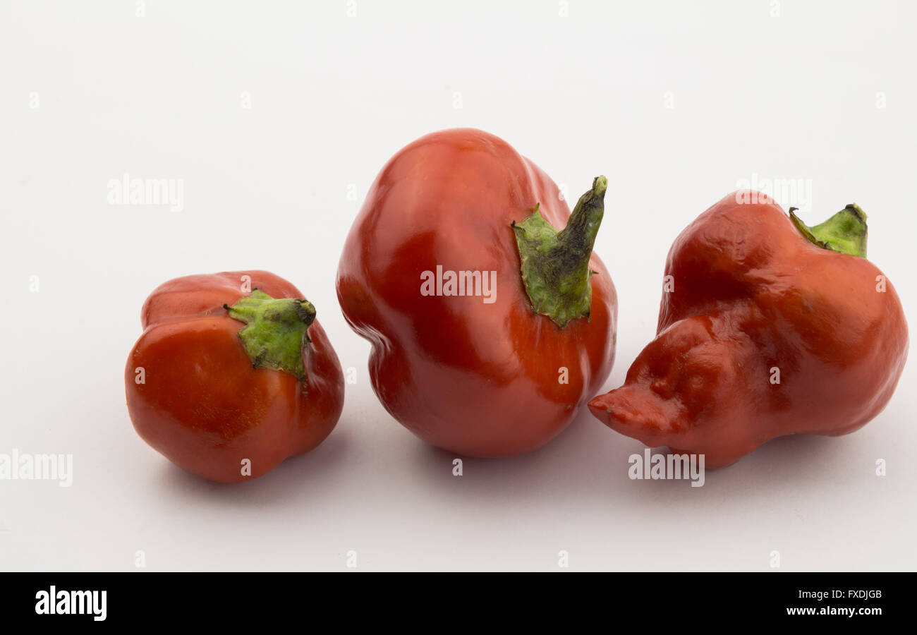 Three hot peppers on hi-res stock photography and images - Alamy