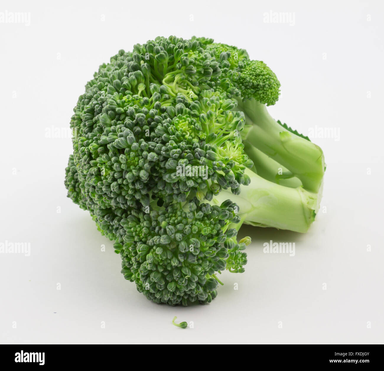 Broccoli isolated on white hi-res stock photography and images - Alamy