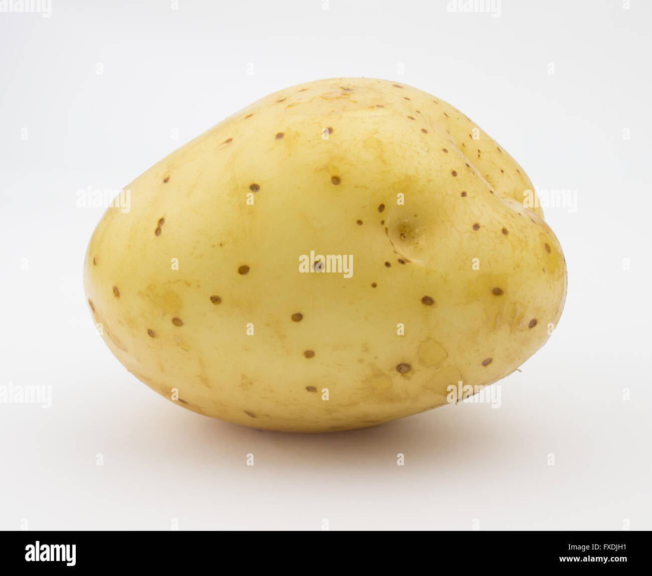 Close up photo of single potato isolated on white background Stock ...