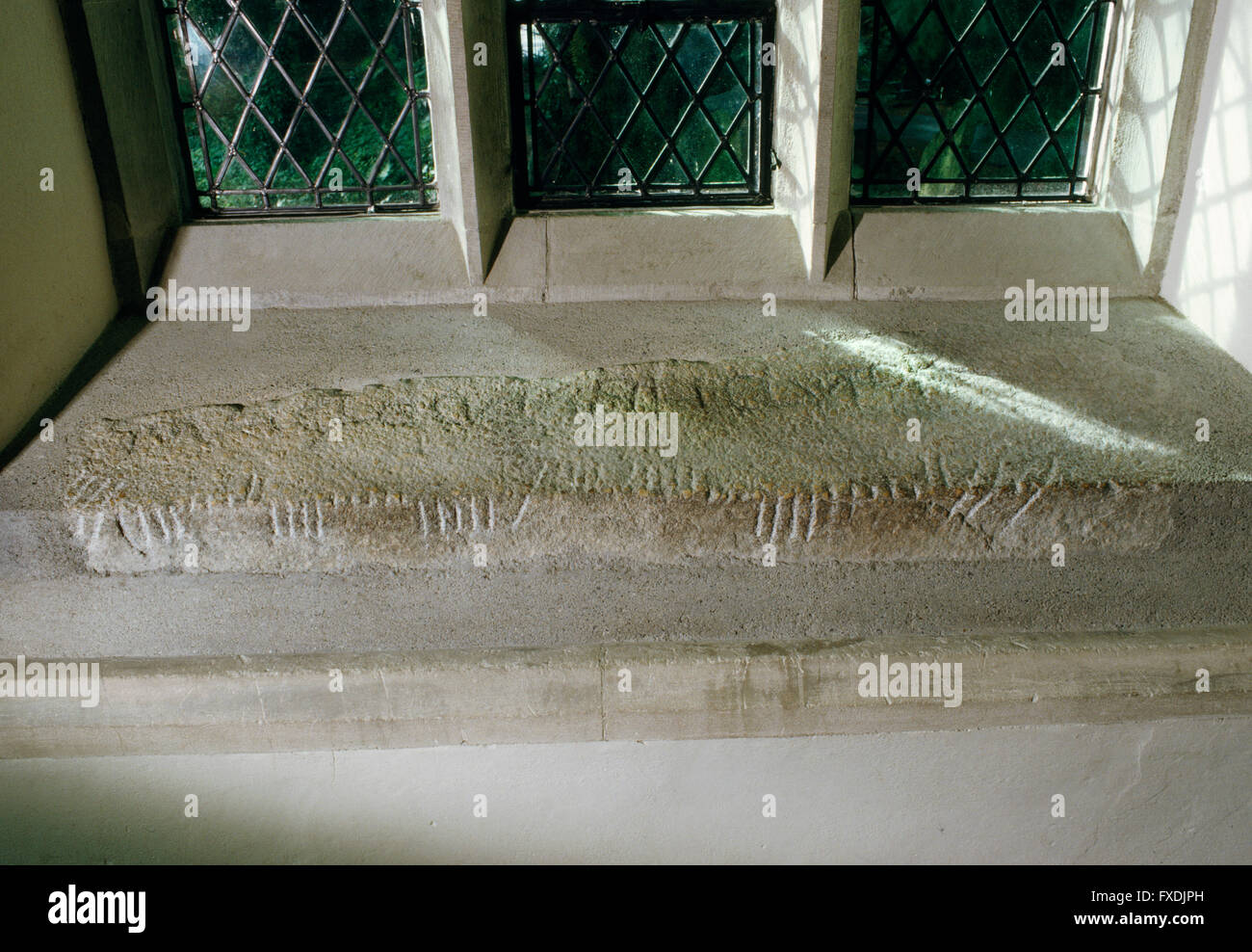 Son of clutorius hi-res stock photography and images - Alamy