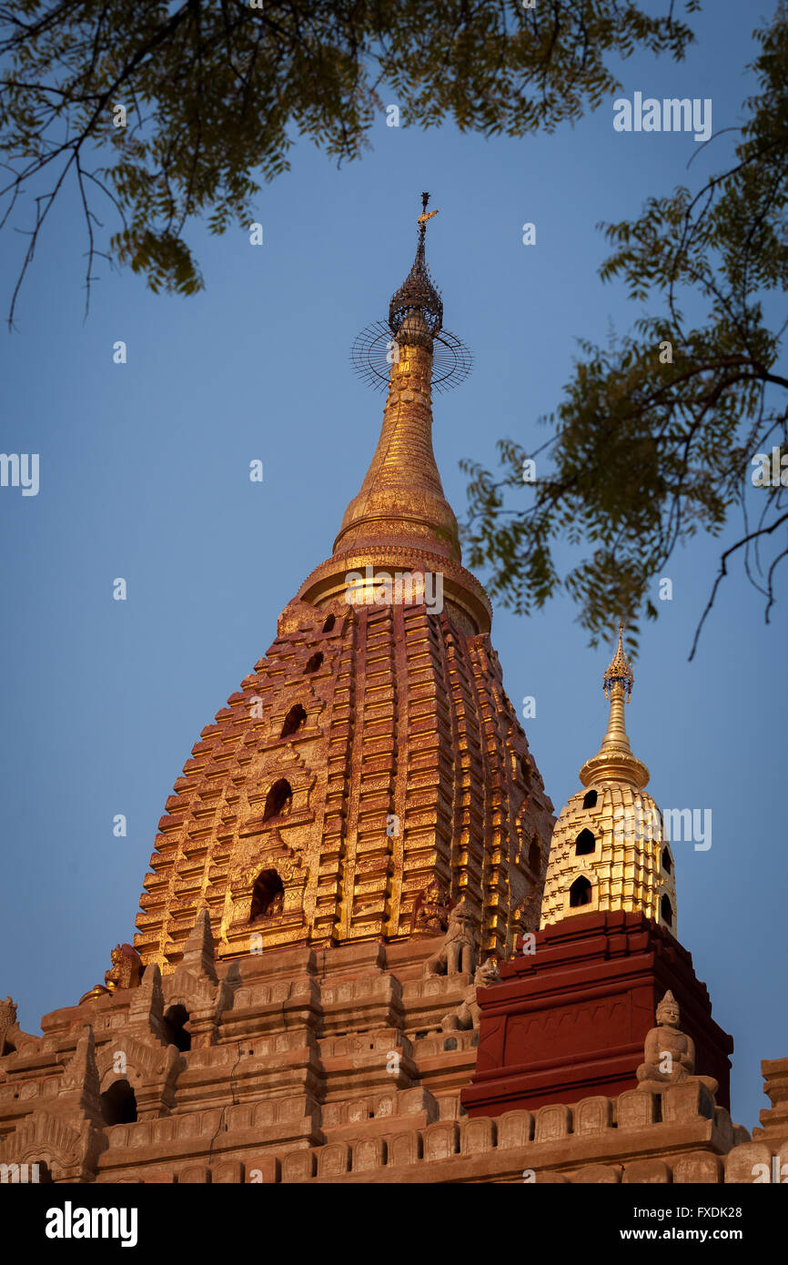 Myanmar, Asia, golden dome, cupola, stupa Stock Photo - Alamy