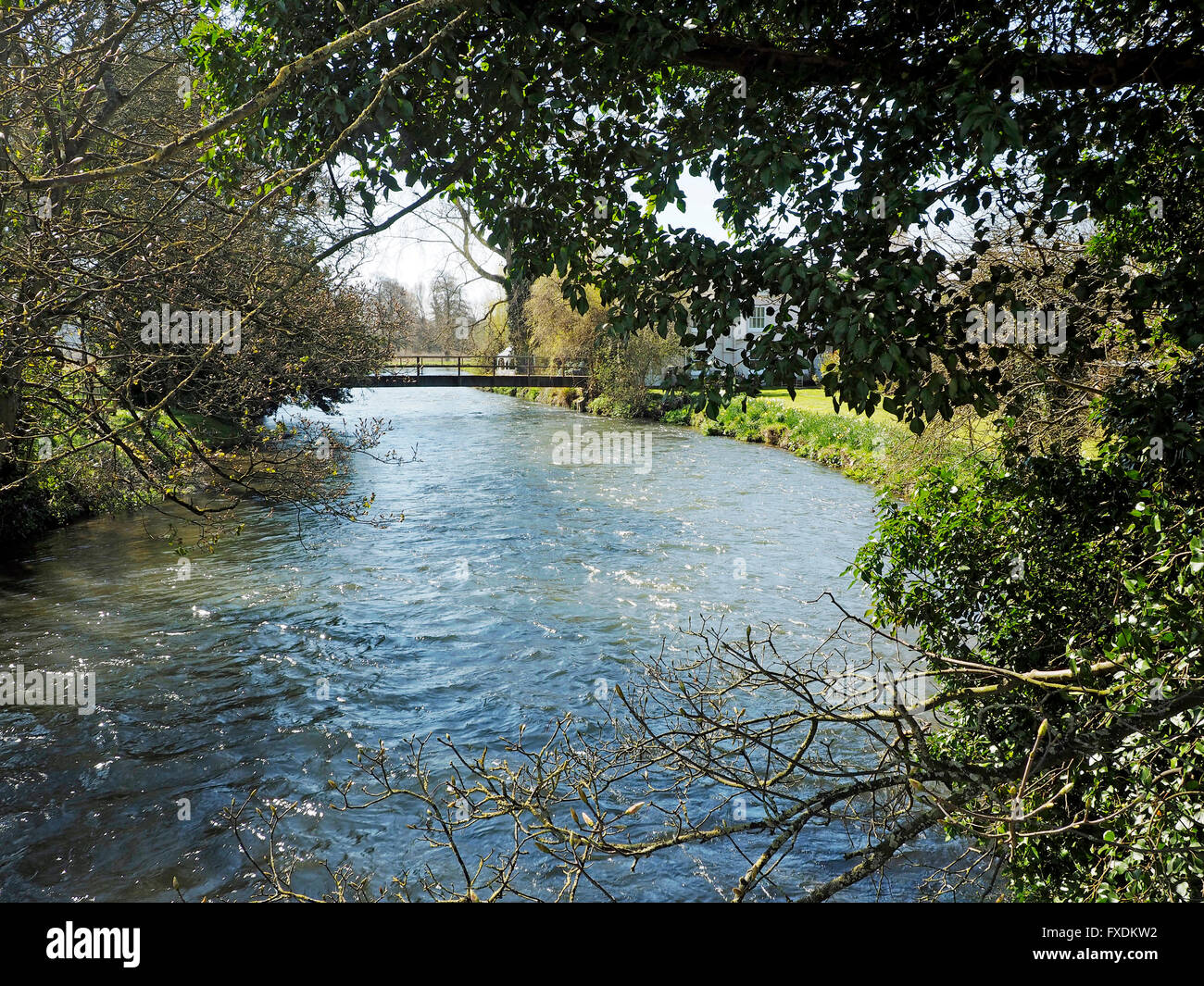 Trout fishing river test hi-res stock photography and images - Alamy