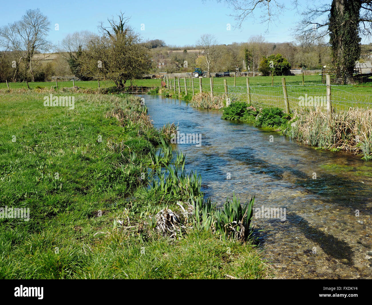 Water meadows in the valley of the River Test on the edge of the pretty ...
