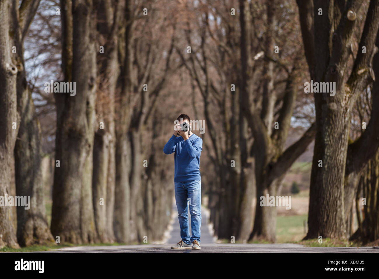 Photographer at work on the road between the rows of trees, spring time ...