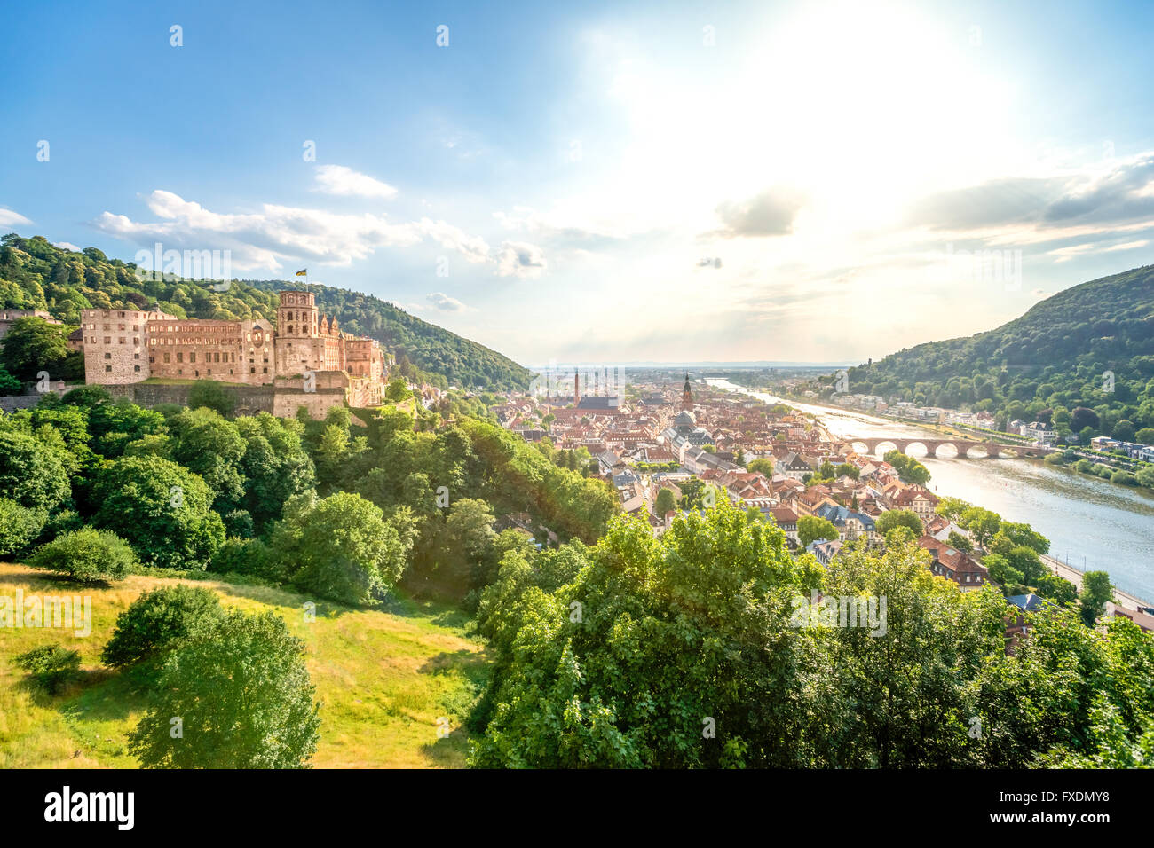 Panoramic view karl theodor bridge hi-res stock photography and images ...