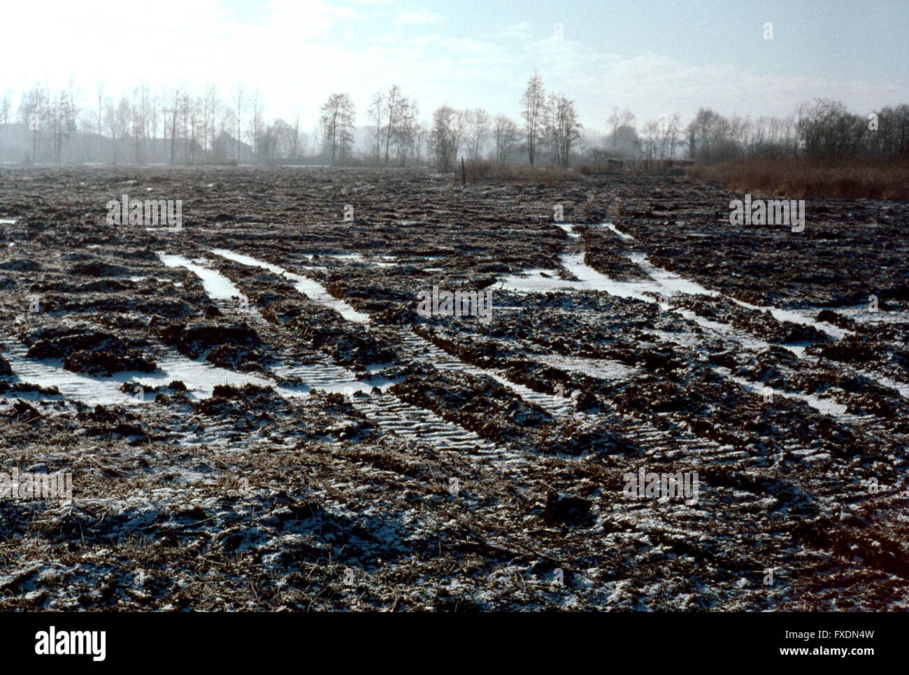 AJAXNETPHOTO. SAILLY LE SEC (NEAR), FRANCE. - SOMME MUD - LANDSCAPE ...