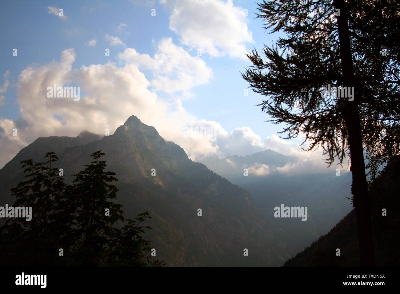 Mountains trees italian alps italy hi-res stock photography and images ...