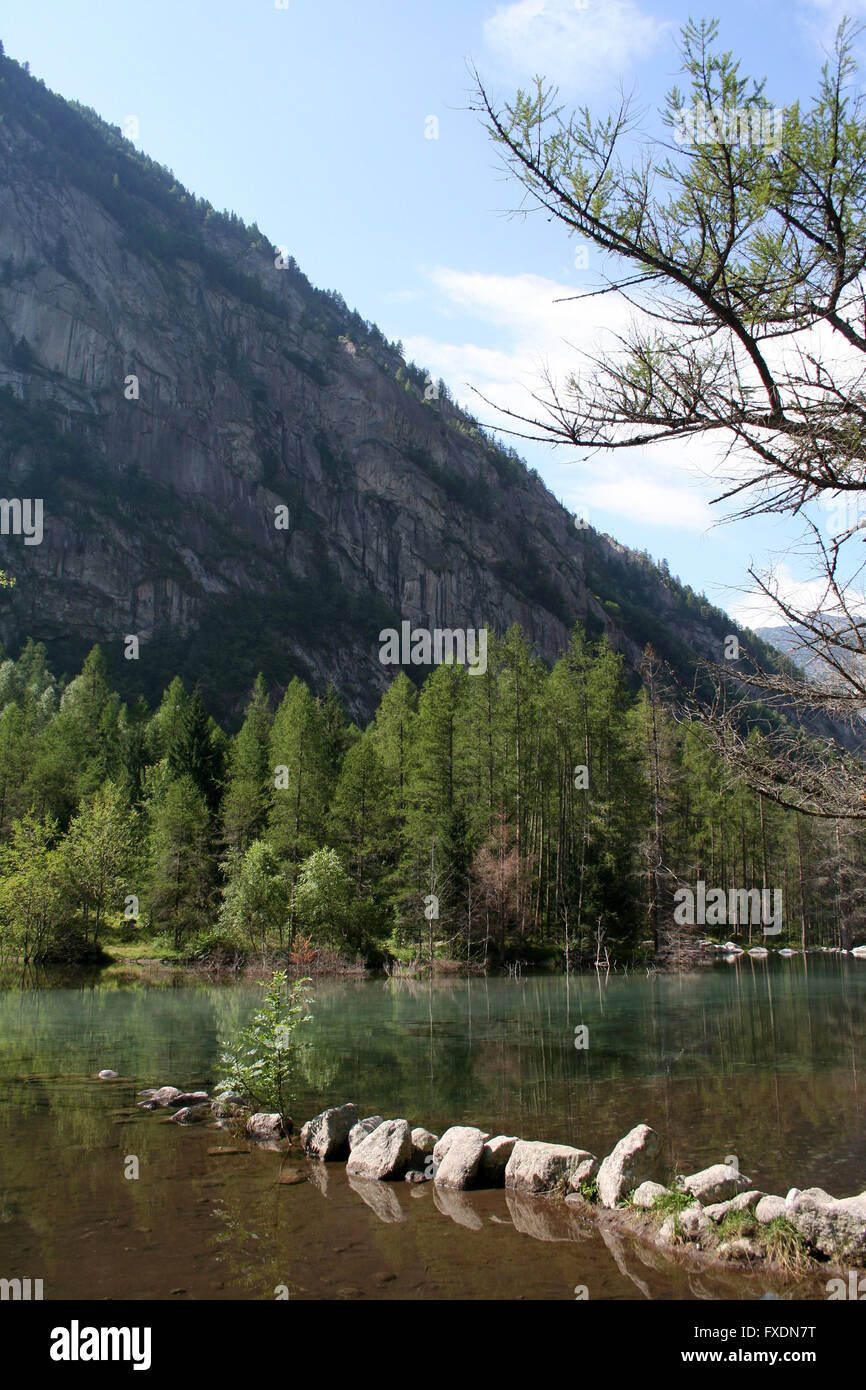 Mountains trees italian alps italy hi-res stock photography and images ...