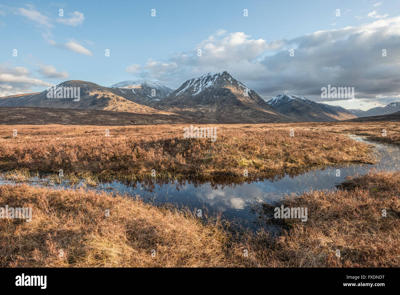 View of the Scottish Highlands Stock Photo - Alamy