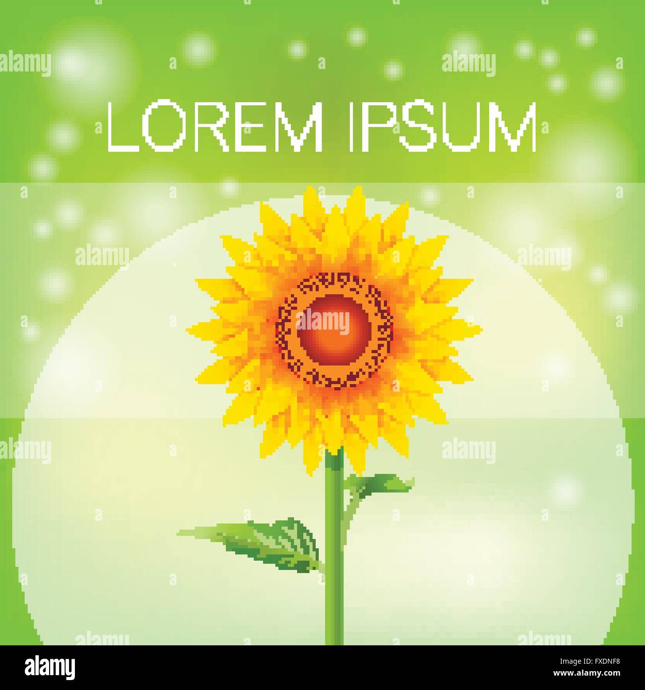 Sunflower bright banner Stock Vector Image & Art - Alamy