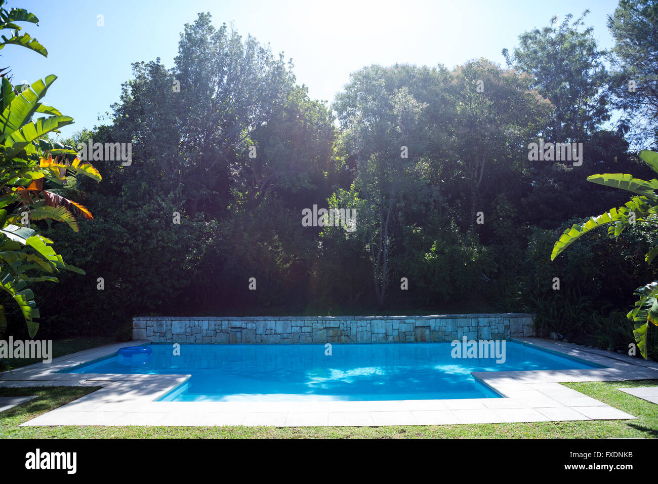 Plants and swimming pool hi-res stock photography and images - Alamy
